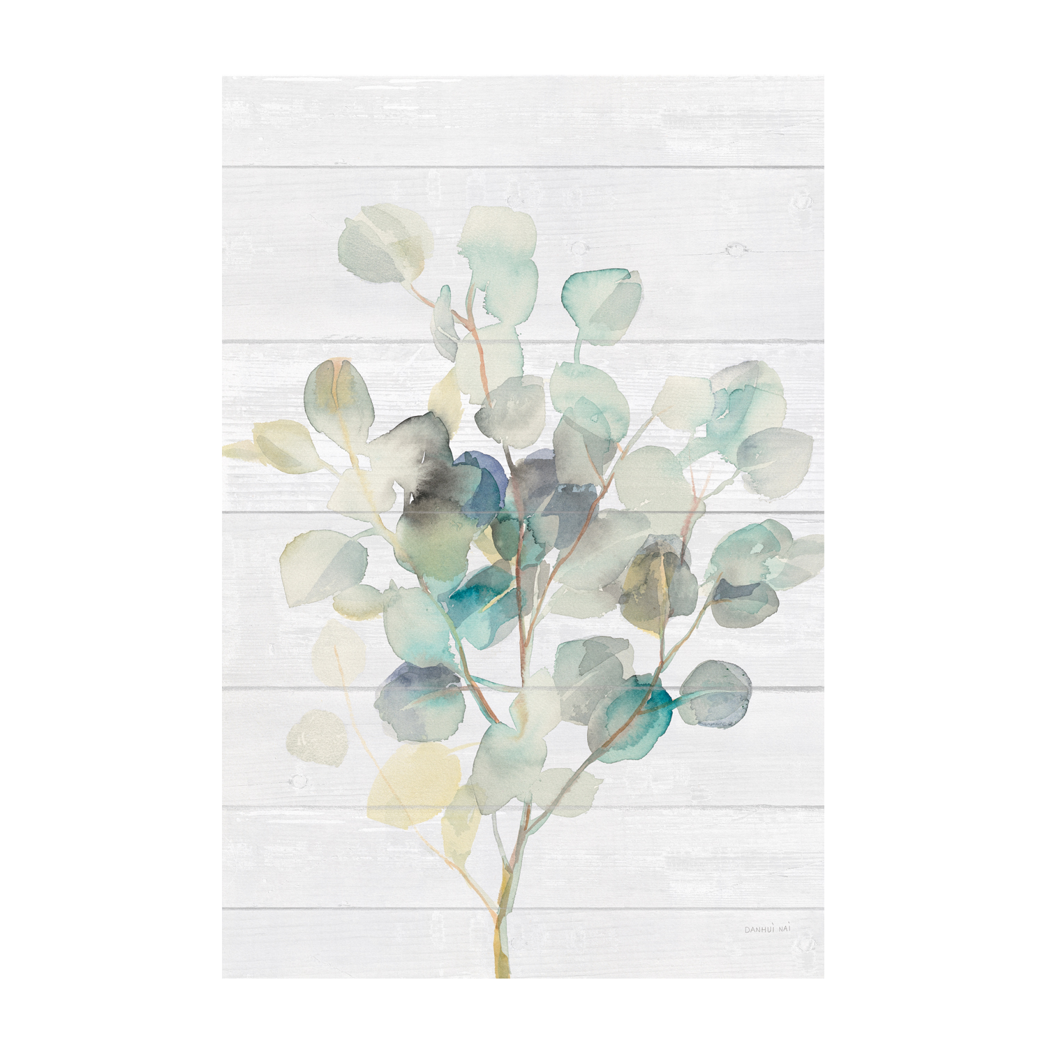 Eucalyptus on Shiplap , By Danhui Nai |Fine Art Print Framed Canvas