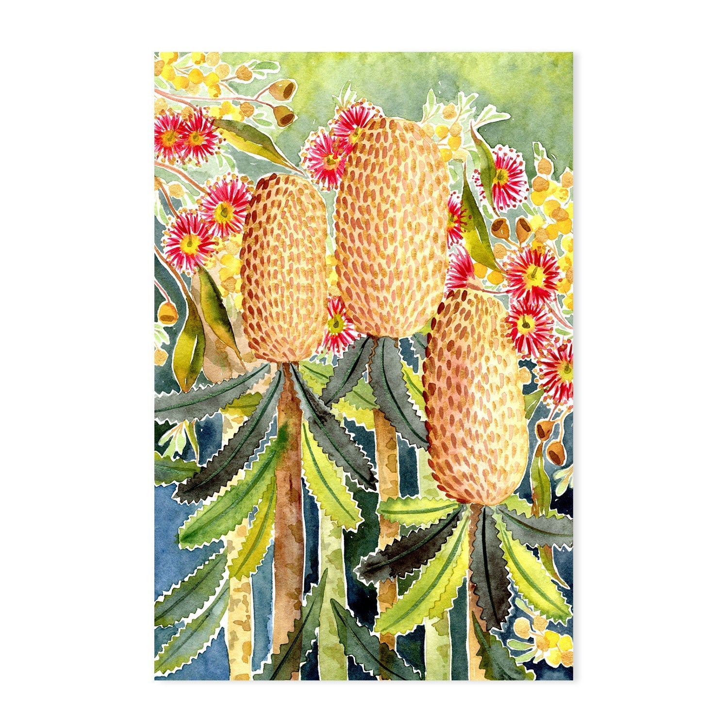 Green Banksia Bunch , By Jessie Mitchelson |Fine Art Print Poster