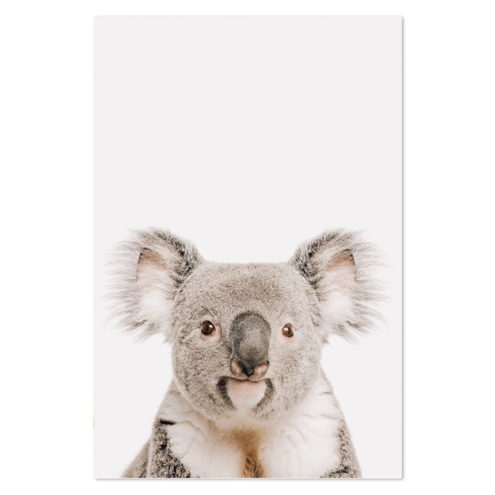 Smiling Koala|Canvas Print Poster Wall Art | Gioia