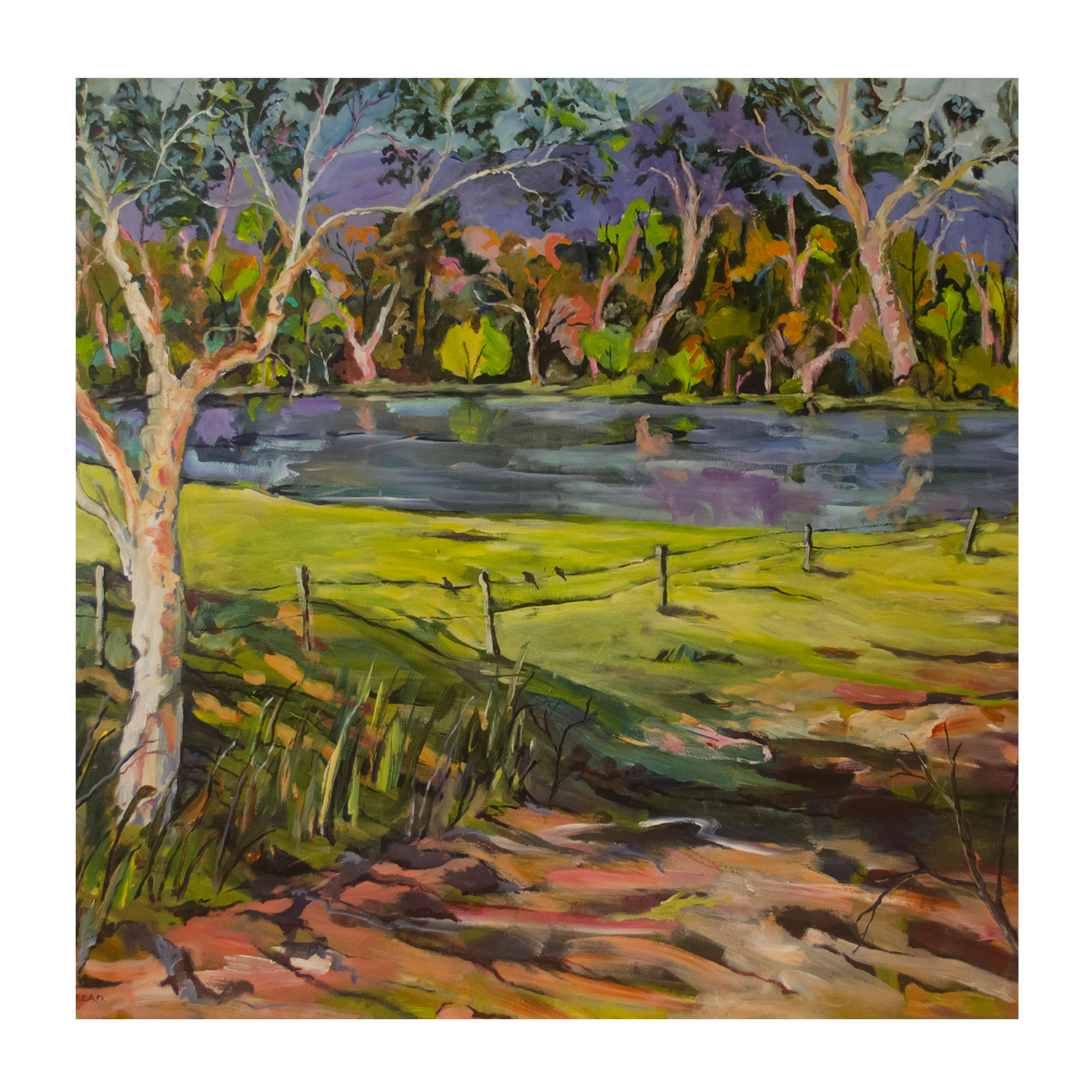 Conversations With The Kangaroo Valley , By Christine Read|Canvas
