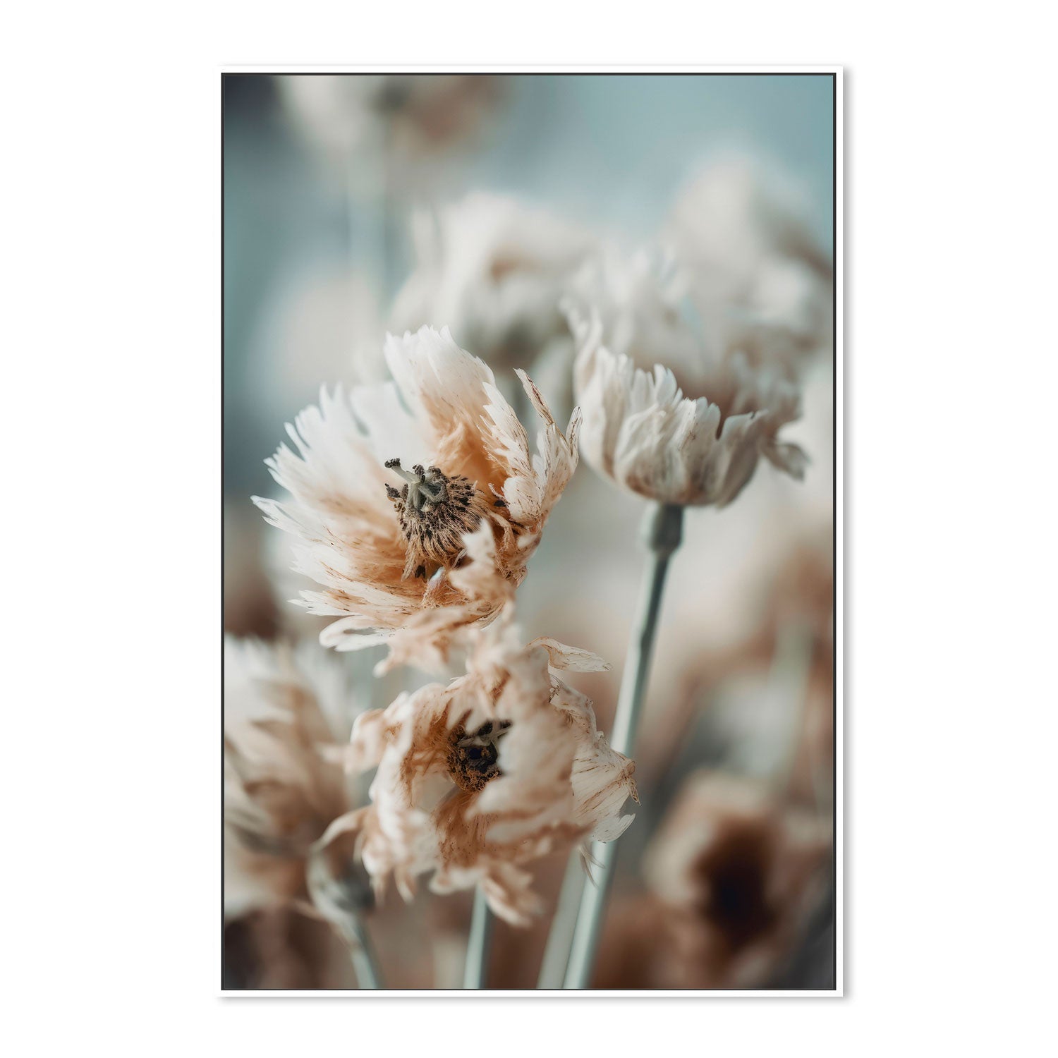 Dry Pastel Flowers, Style A , By Treechild|Canvas Print Poster Wall
