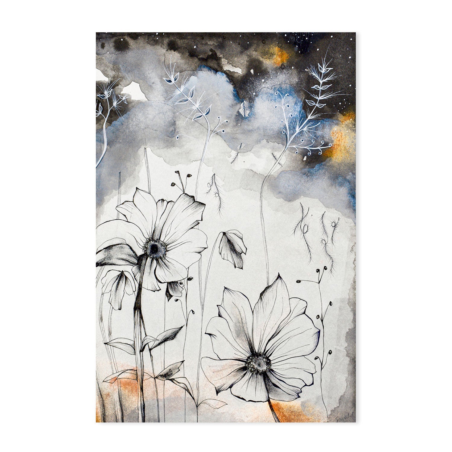 Fragile Morning , By Sarah Carlton Art |Fine Art Print Poster Canvas