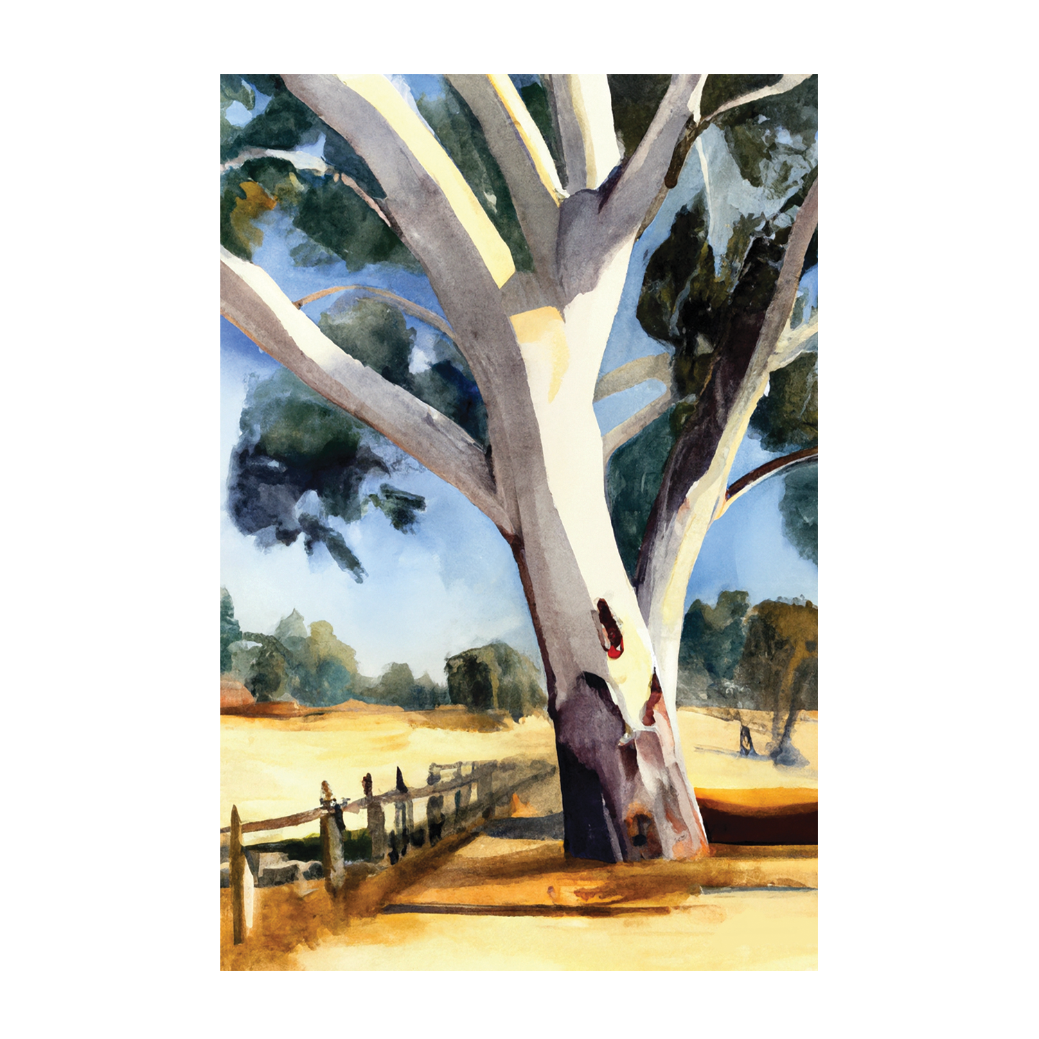 Gumtree Sunset , By Stacey Williams |Fine Art Print Framed Canvas