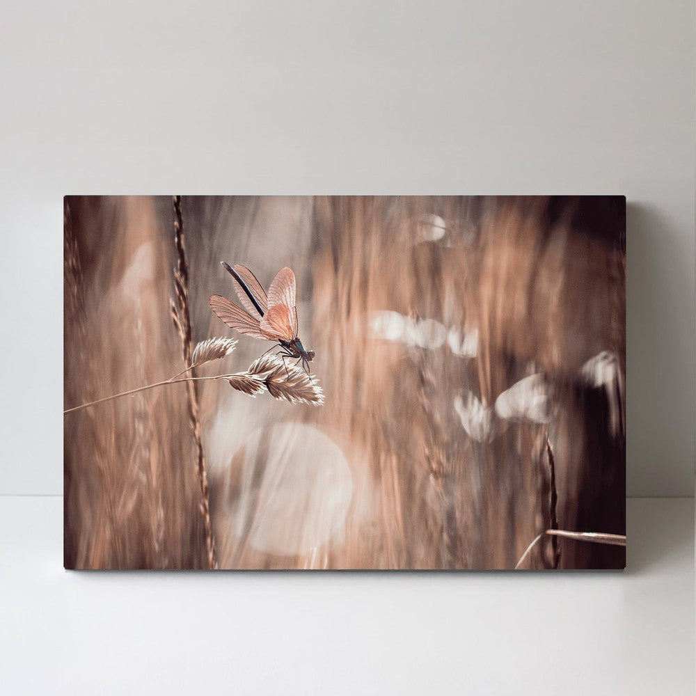 Le Point De Suspension, By Fabien Bravin|Canvas Print Poster Wall Art