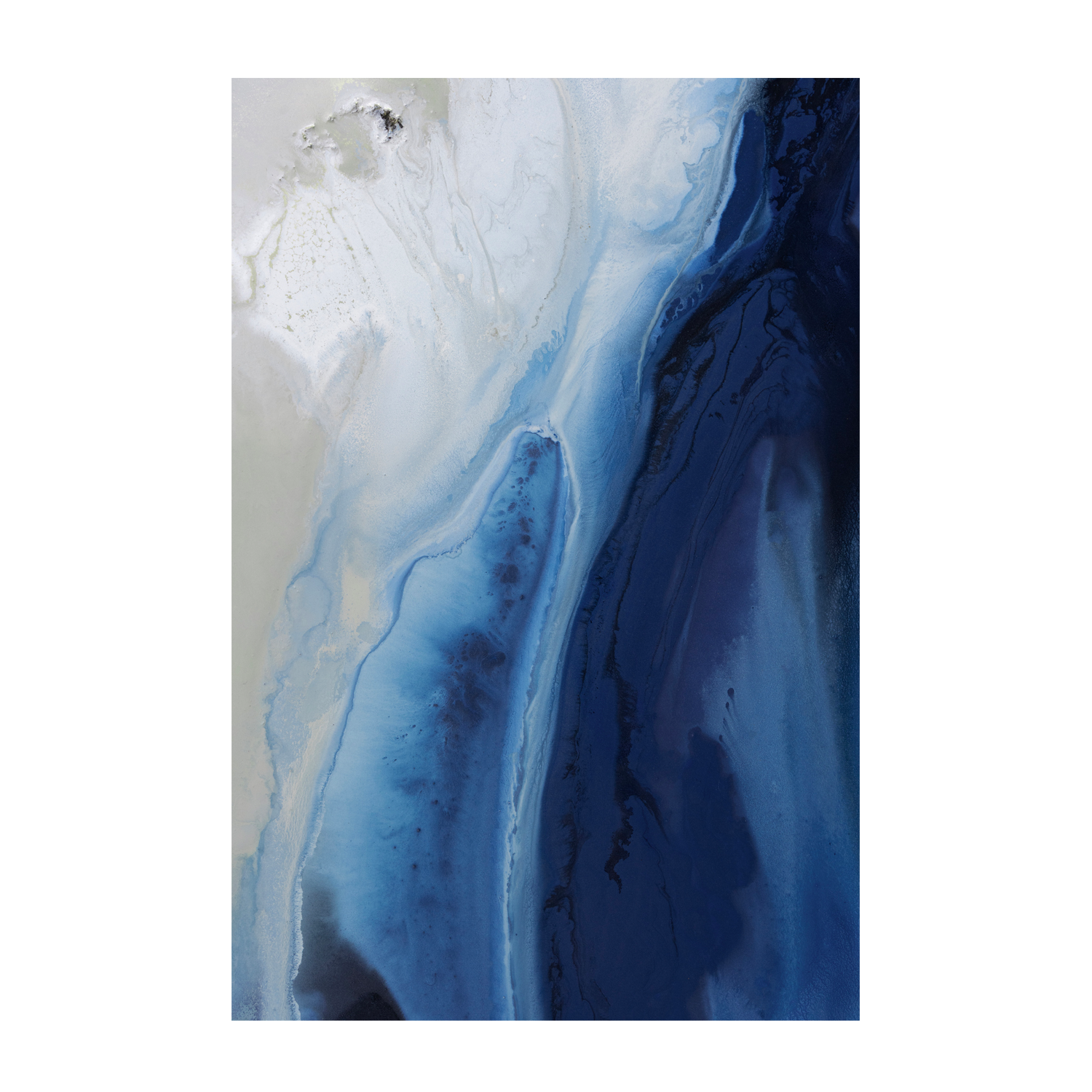 Marine Majesty, Style B , By Petra Meikle |Fine Art Print Poster