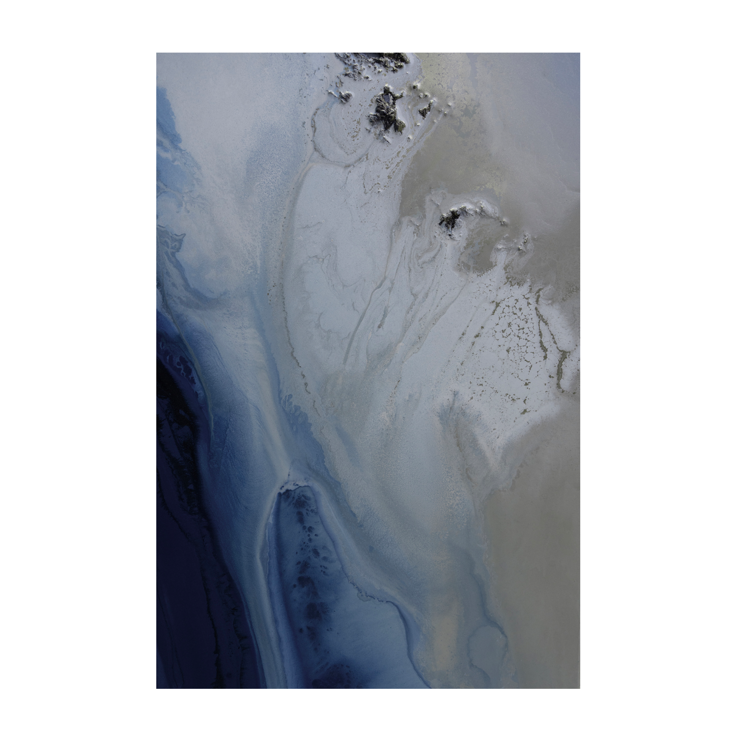 Marine Majesty, Style C , By Petra Meikle |Fine Art Print Poster