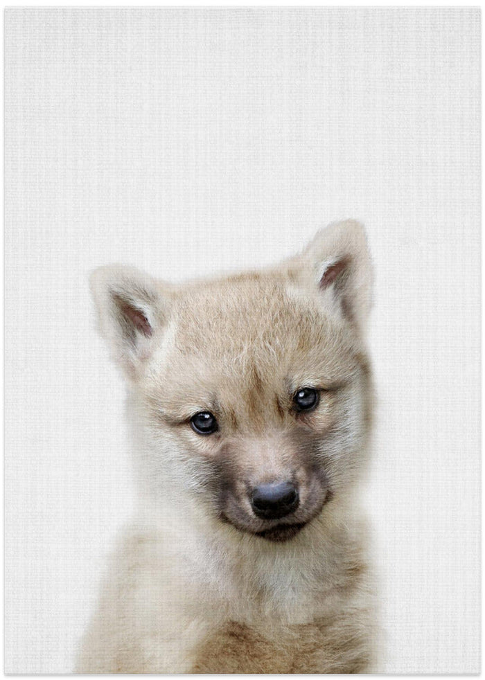 Peekaboo Baby Wolf , By Lola Peacock|Canvas Print Poster Wall Art