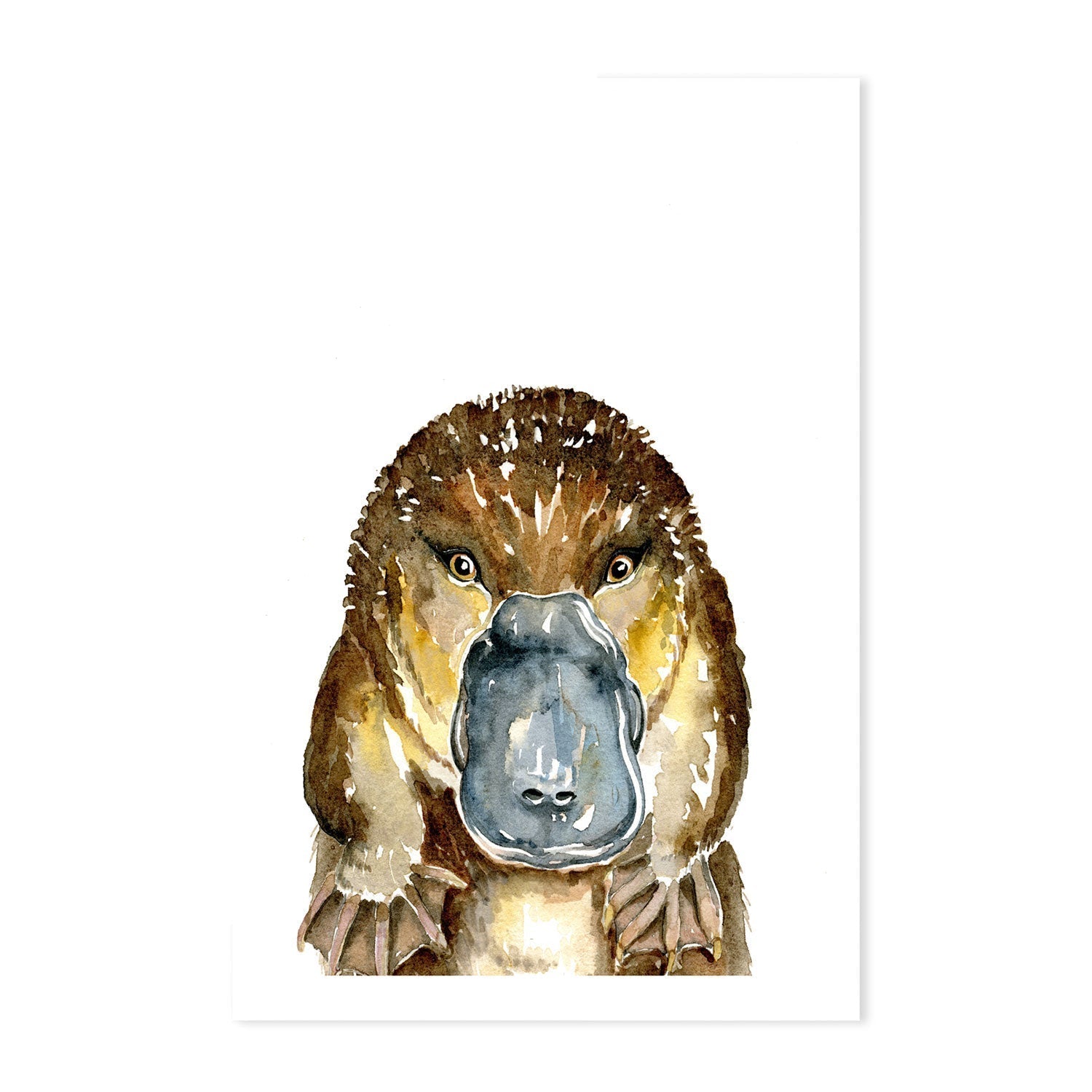 Platypus|Canvas Print Poster Wall Art | By Jessie Mitchelson