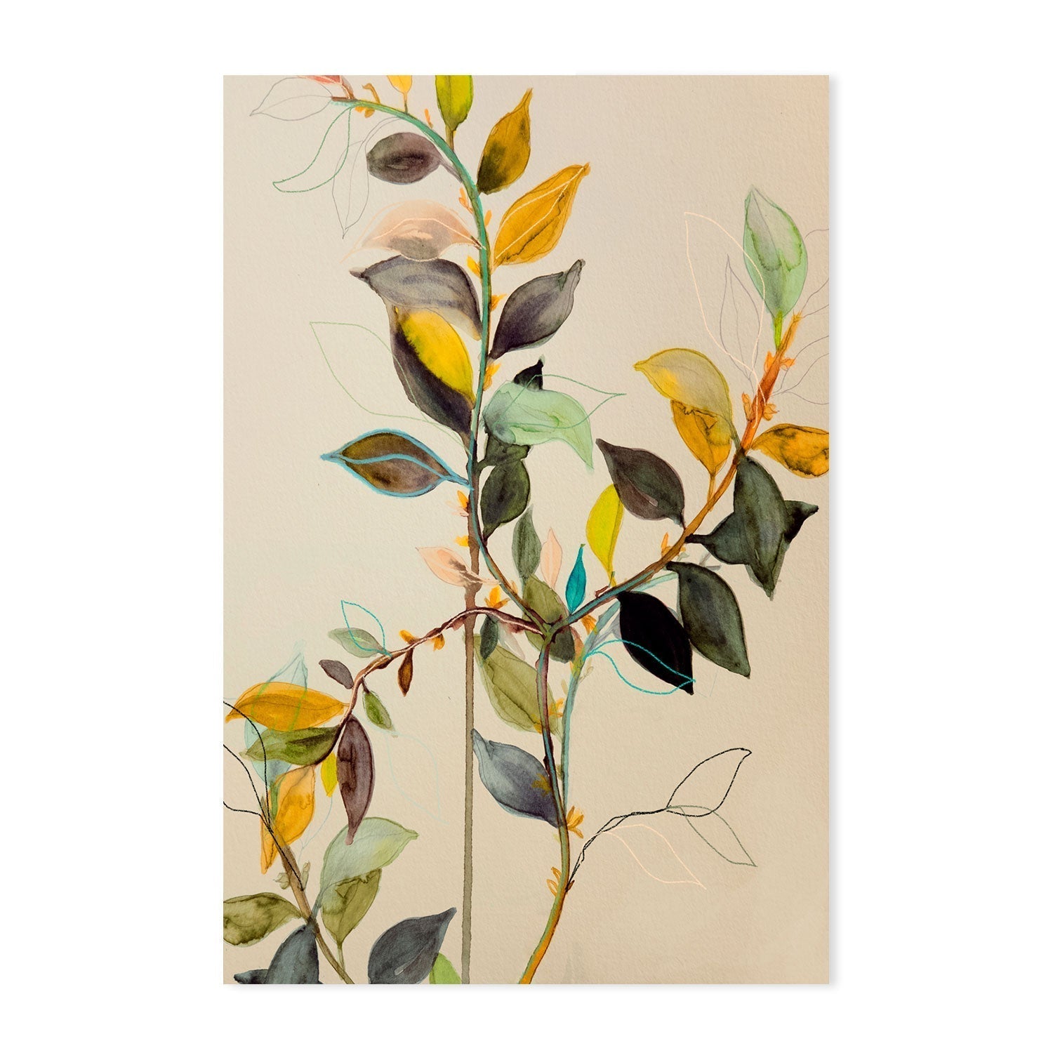 Willow , By Leigh Viner |Fine Art Print Framed Canvas Framed Poster