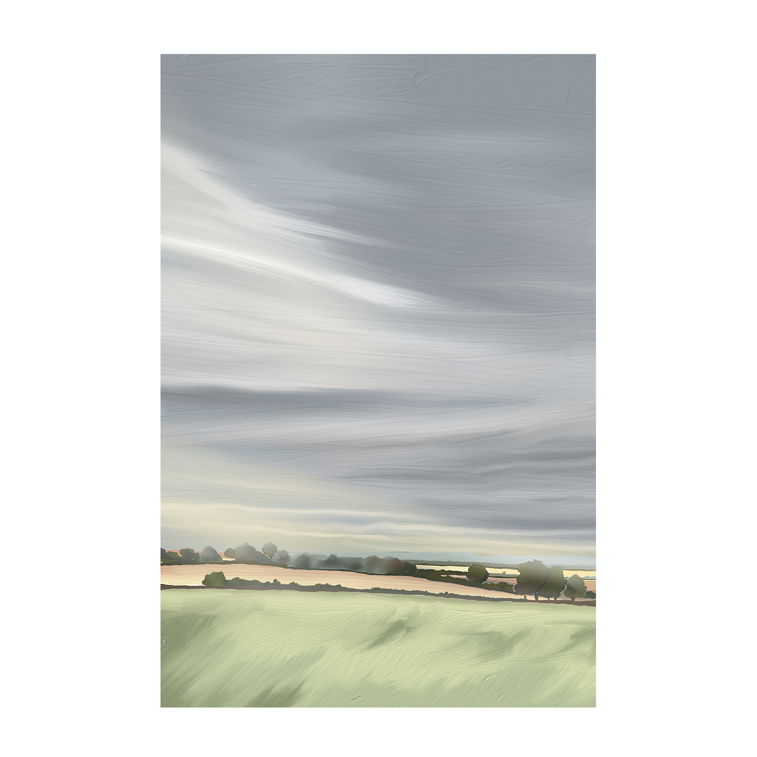 Windswept, Stellenbosch, South Africa|Canvas Print Poster Wall Art