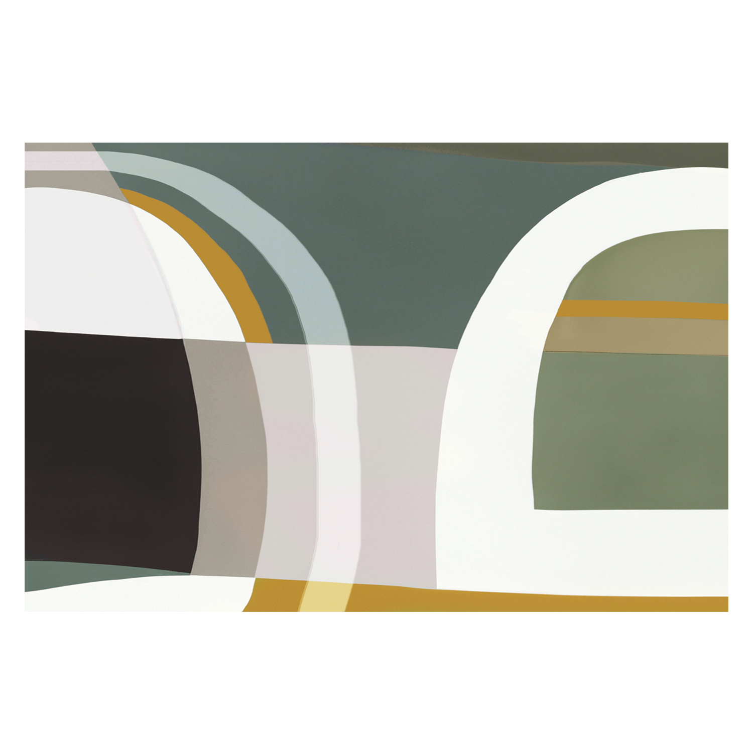 Zara Curve 3 , By Stacey Williams |Fine Art Print Poster Canvas Framed